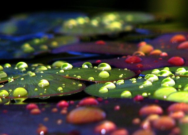 Fotos de otros mundos