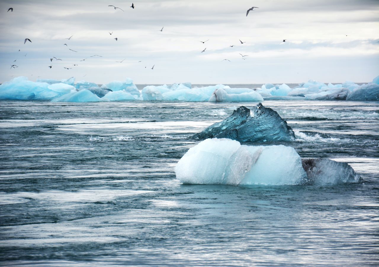 2021 a record-breaking year, according to climate change indicators 2021 a record-breaking year, according to climate change indicators