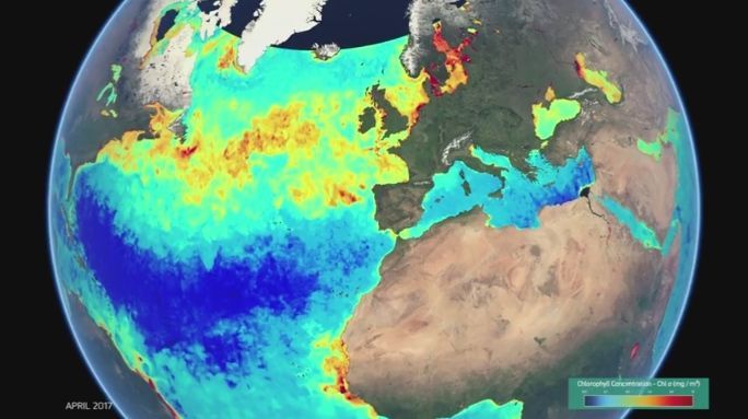 El océano en color en 2017