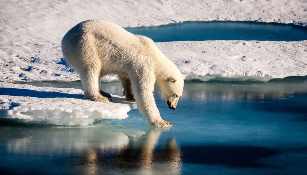 A "Cold Blob" in the North Atlantic May Reveal Weakening Ocean Currents