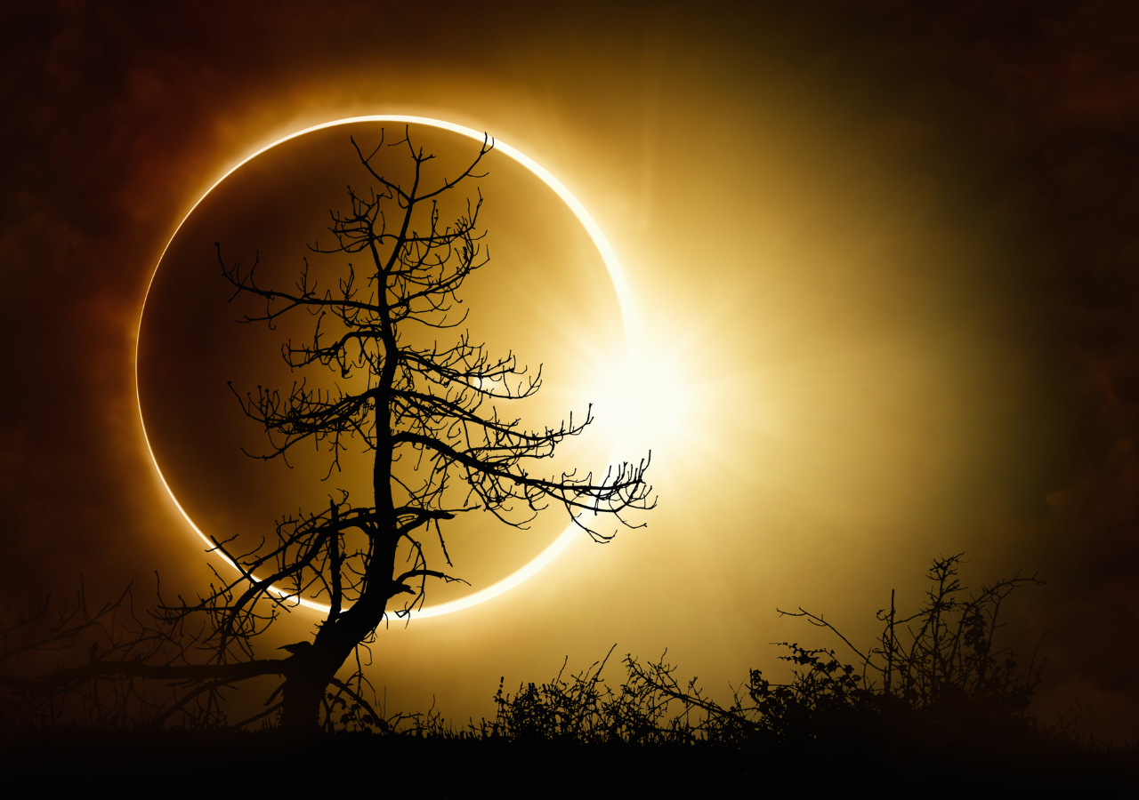 A la sombra del Sol: ¿Cómo influye un eclipse solar en diferentes tipos ...