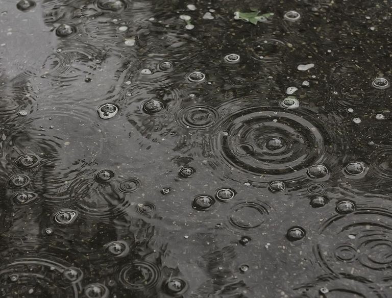 Weather Worksop 14 days - Meteored