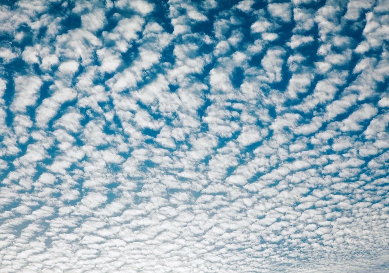 Discovering altocumulus, the famous clouds of the so-called "mackerel sky"
