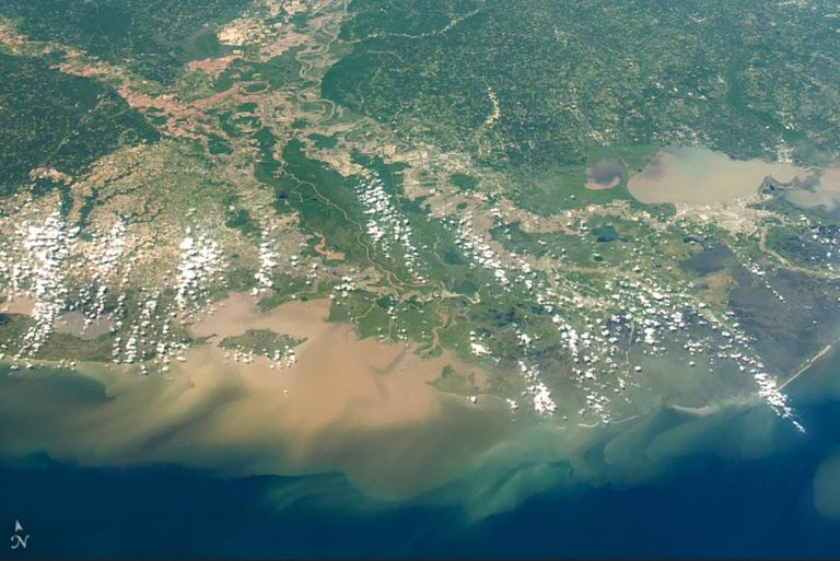 Amplia vista del delta del río Misisipi