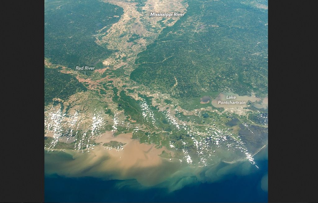 Amplia vista del delta del río Misisipi