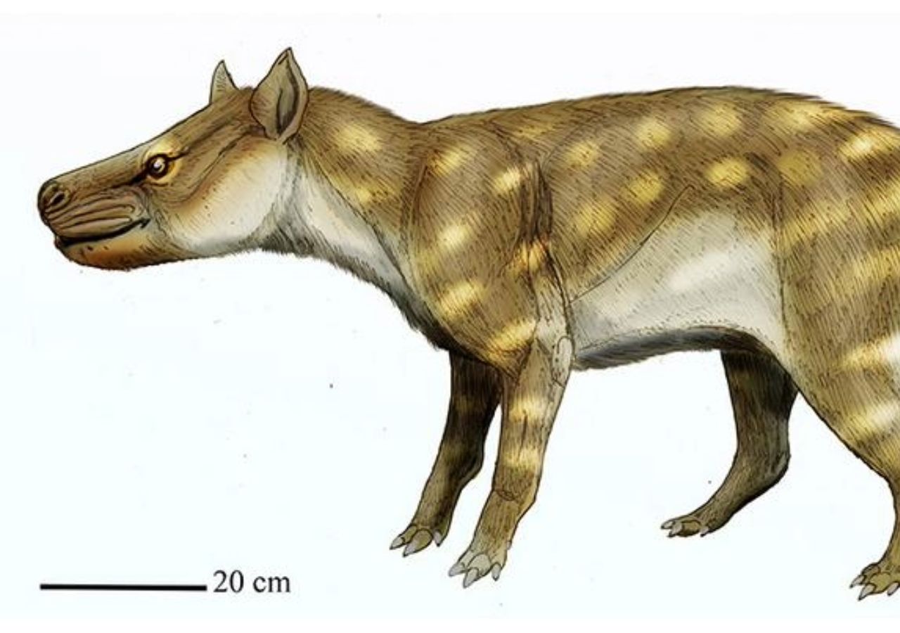 How did ancient predators change their diet in a changing climate?