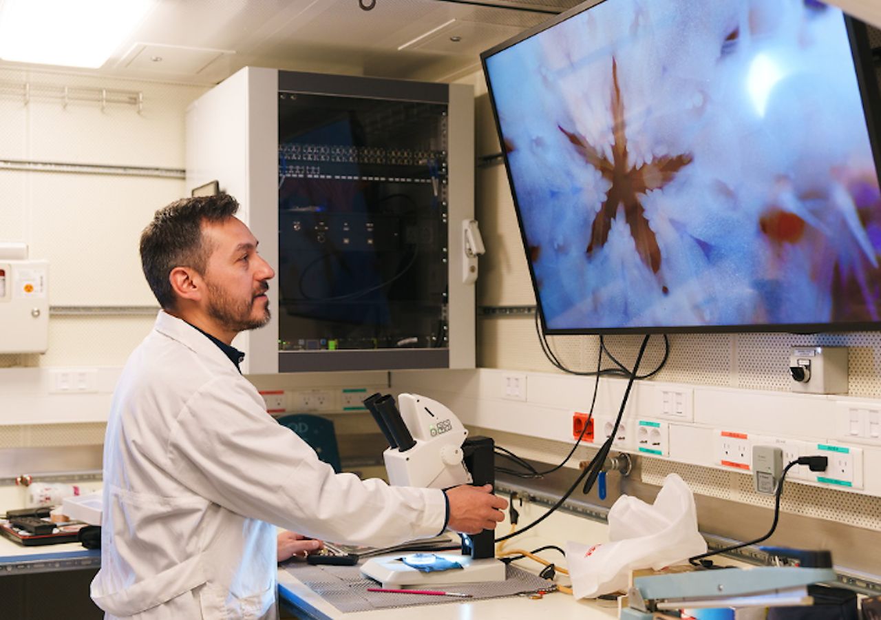 Antarctica's Floating Ice Harbours a Hidden Marvel of Life