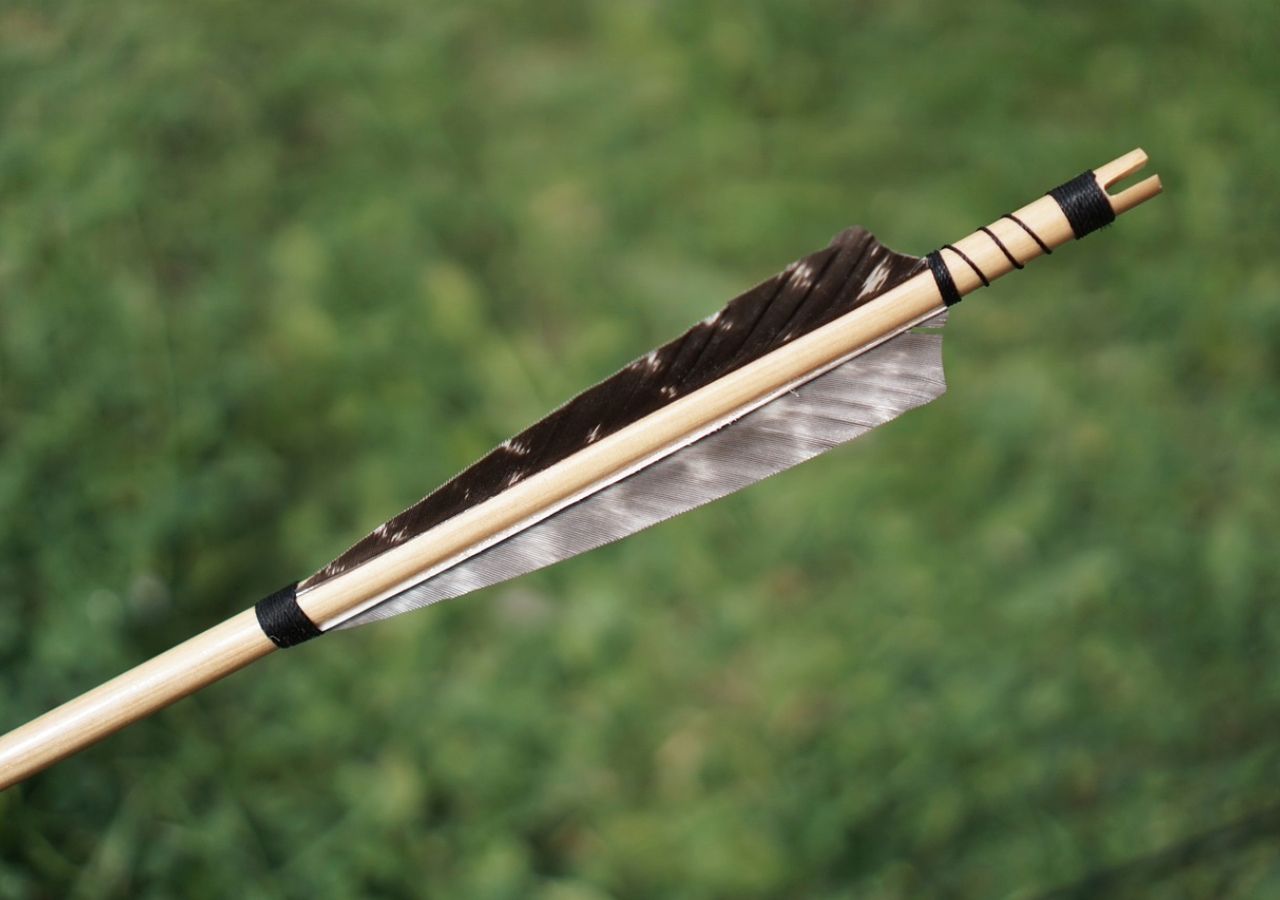 Amazing archery: Ancient Iberian Neolithic people had an incredible ...