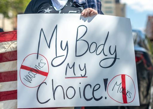 A World Without Mosquitoes: Blessing or Ecological Disaster?