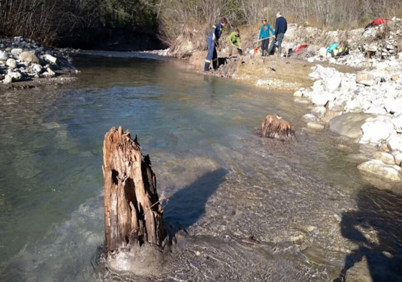 Tree rings "remember" a gigantic Ice Age solar storm that would be ...