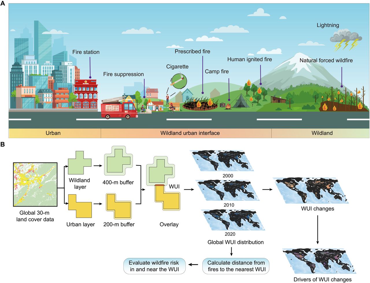Scientists show that urban-forest interface areas have grown by 35% in ...