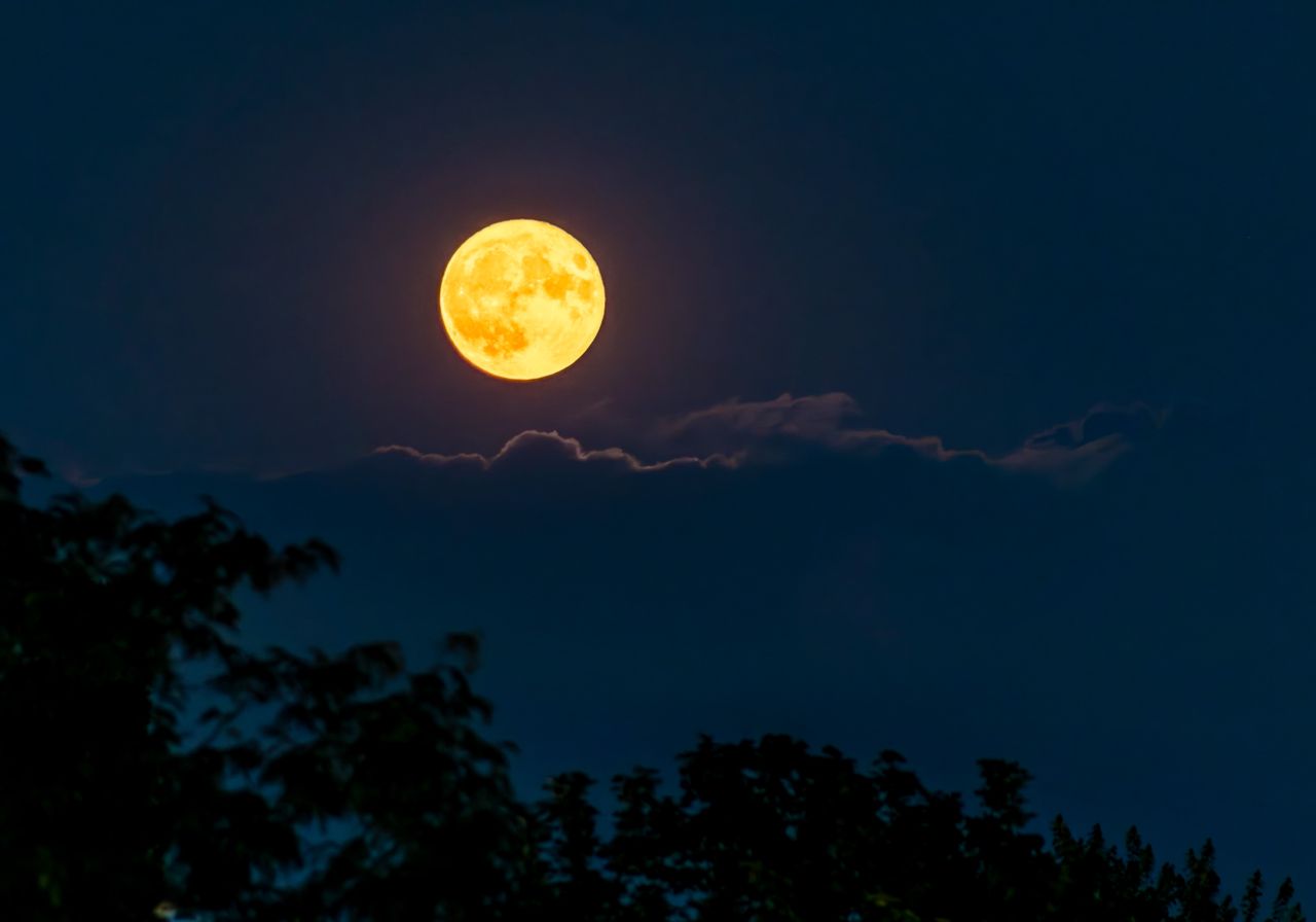 August’s Sturgeon Moon Rises This Saturday Night—Tips for the Best Time ...
