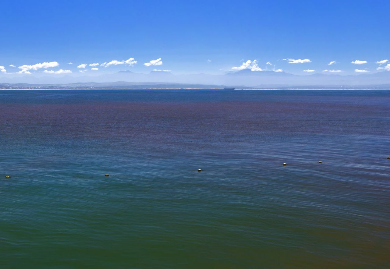 Autoridades sanitarias alertan por Marea Roja en costas del estado de ...