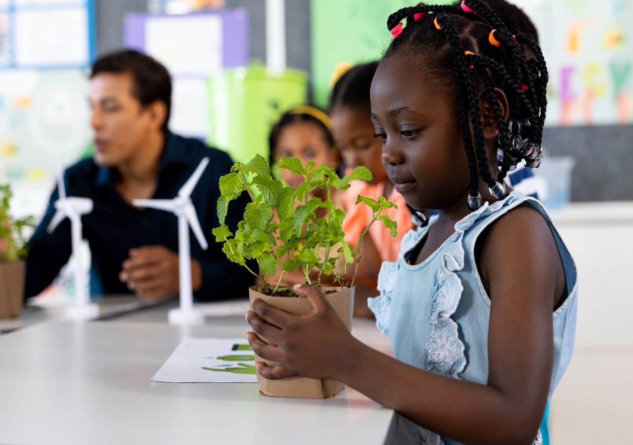 Botany Should Be Taught More Widely In Schools To Promote Climate Botany Should Be Taught More Widely In Schools To Promote Climate