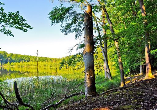 Kommt jetzt die Wetterwende? Modelle zeigen bis zu 100 Liter Regen – droht dem Sommer ein nasser ...
