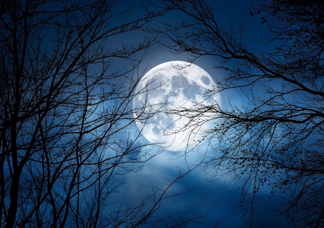 Calendario Lunare Novembre 2025: le fasi della luna giorno per giorno