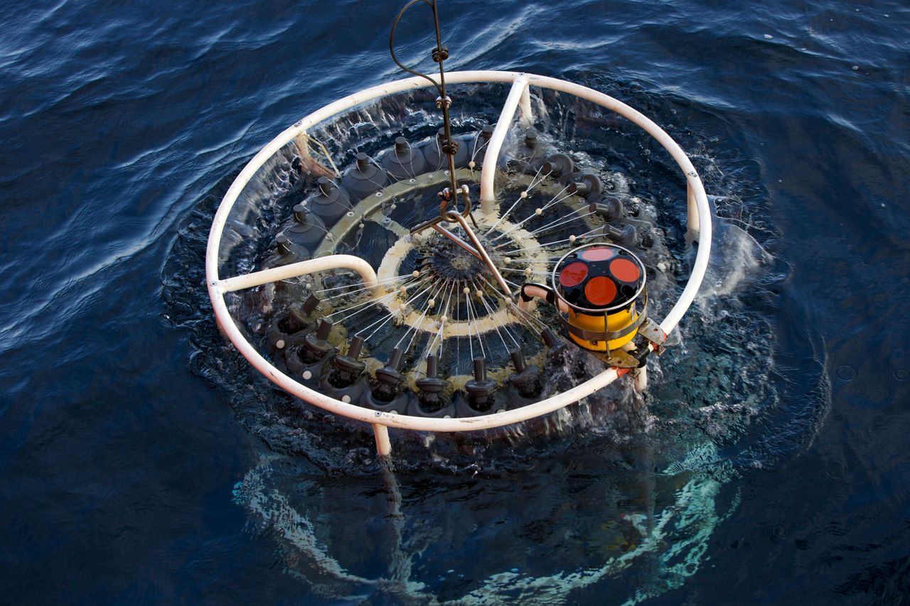 Carbono orgánico disuelto en el océano Atlántico