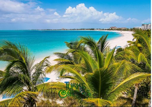 What is the recursive island phenomenon and what is the most surprising ...