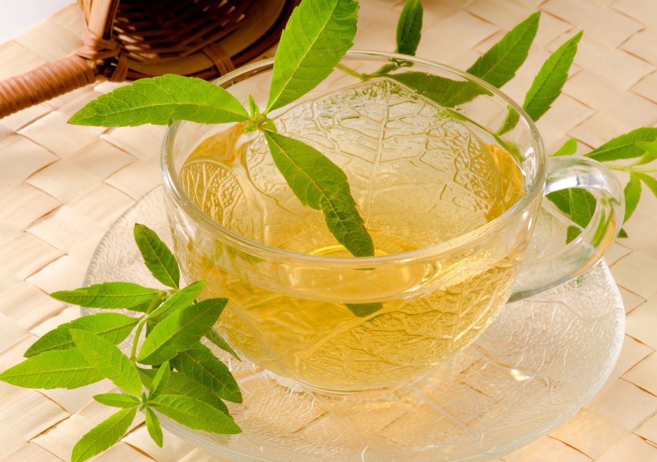 Cedron or luisa herb: the herb that reduces inflammation, prevents ...