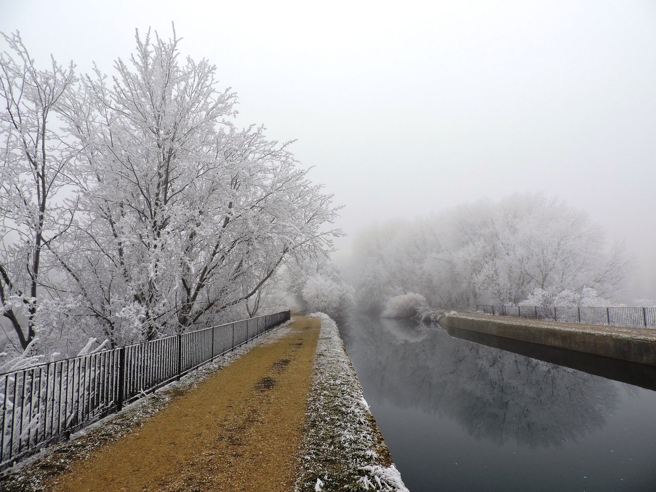 El paisaje de “Frozen” es real: la ciencia detrás de la cencellada, el ...