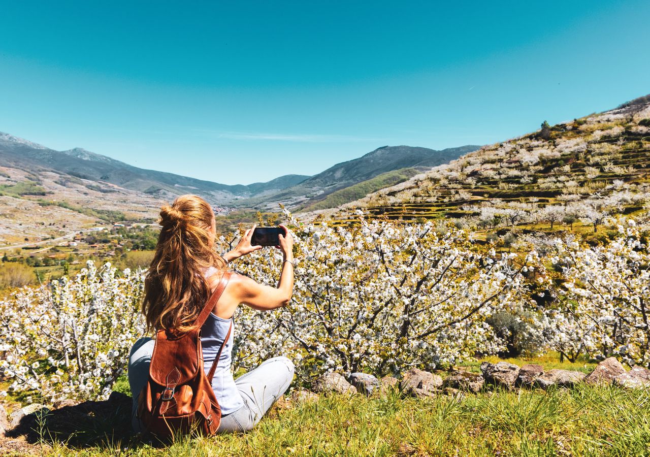 Cerezos en flor en España: 5 sitios para ver la floración más bonita ...