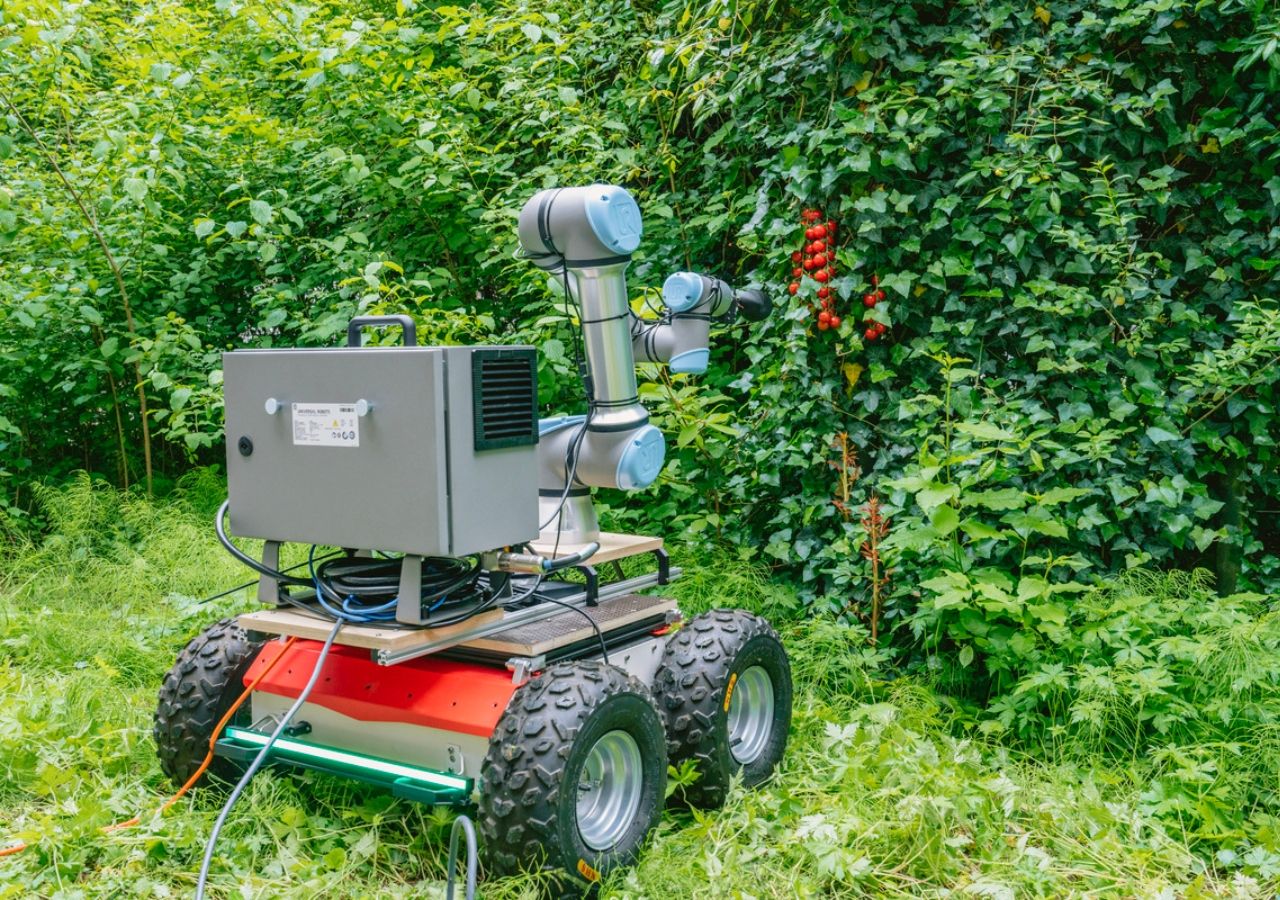 Inteligencia artificial: Construyen un robot siguiendo las ...