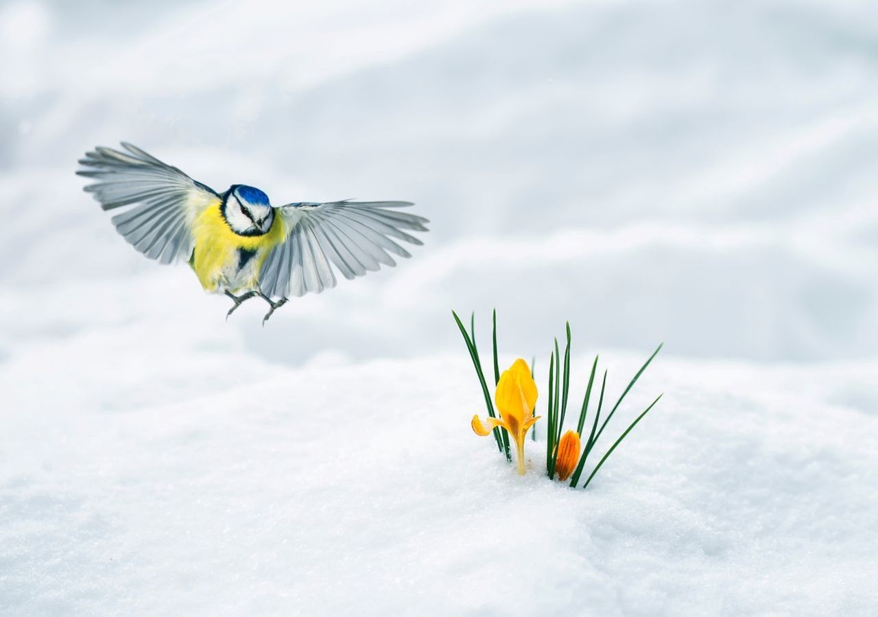 Meteo, ci aspetta un mese di aprile molto dinamico e con qualche ...