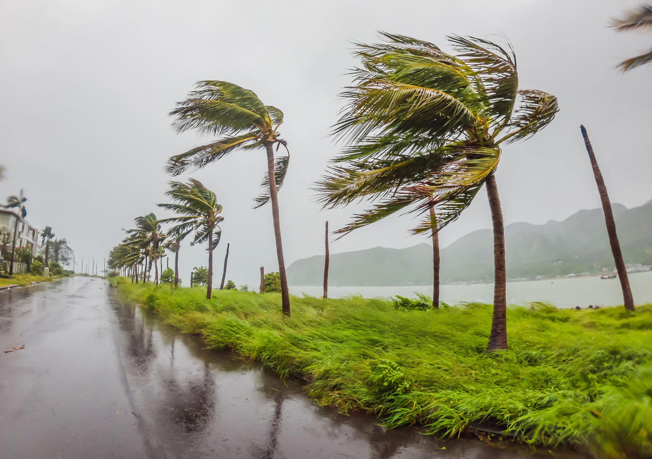 Alerte au cyclone et aux rafales pouvant atteindre les 100 km/h dans 7 ...