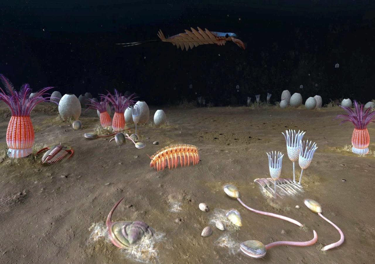 Utilizando ciclos orbitales para comprender la vida compleja temprana ...