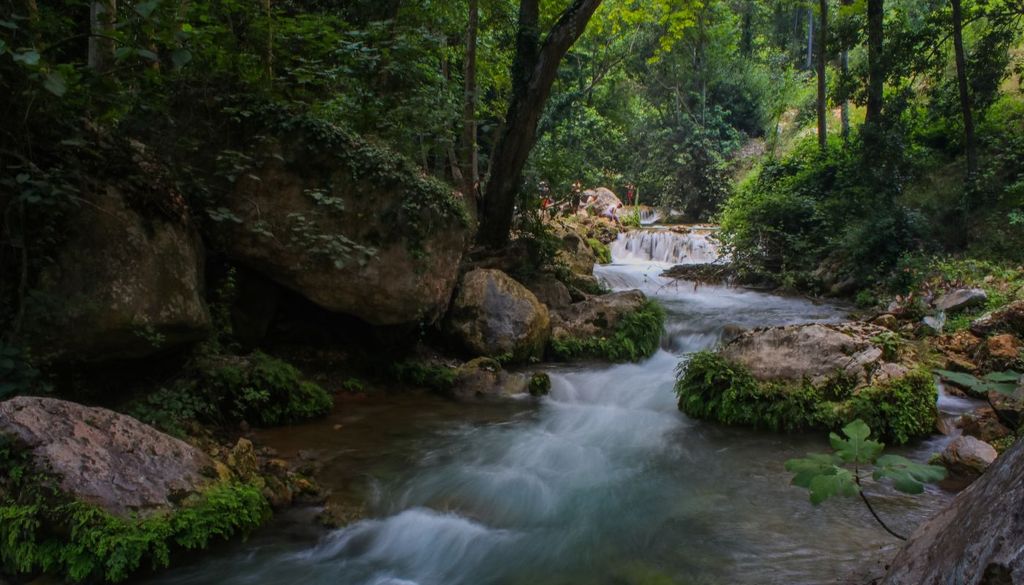 Científicos del CREAF descubren que los bosques de la España peninsular ...