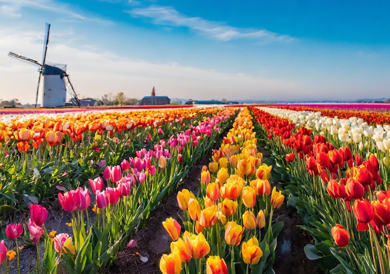 Scientists explain why the Earth became colorful throughout evolution