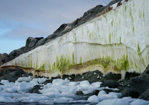 What is the recursive island phenomenon and what is the most surprising ...