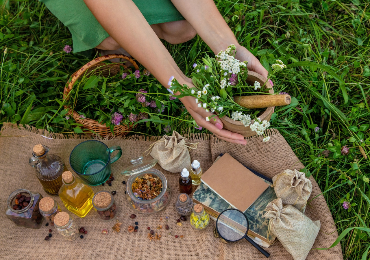 Five green stars! The medicinal plants that you should have in your garden