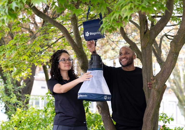 Weather Albox. 14 day Forecast - yourweather.co.uk | Meteored