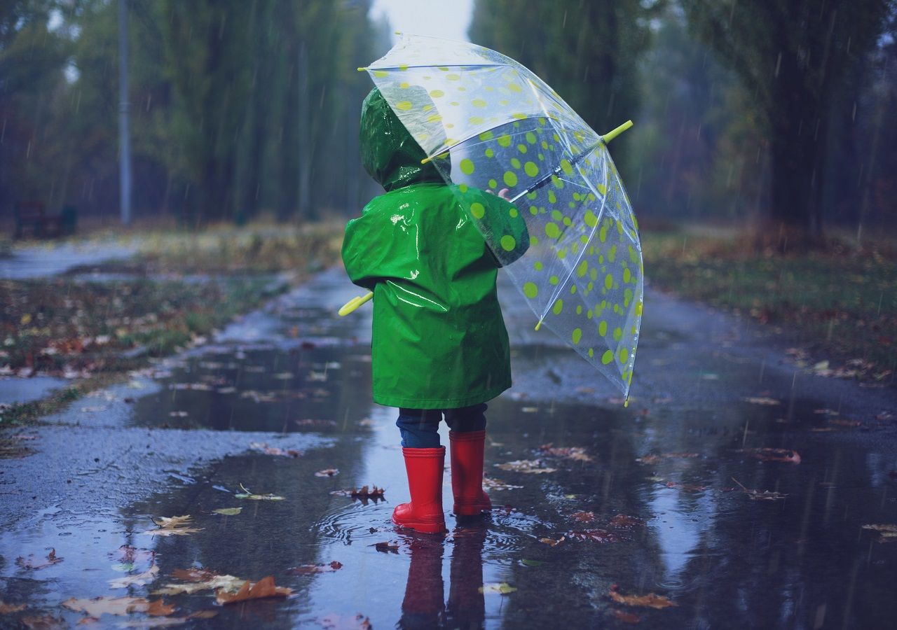 Lluvias de invierno: las esperanzas se centrarán en agosto