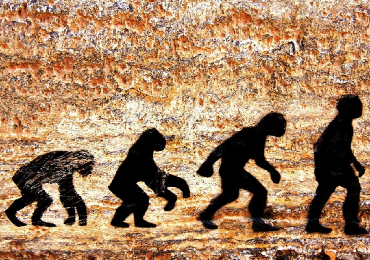 Primeiro Homosapiens New Discovery In China Reveals Fossils Of 16