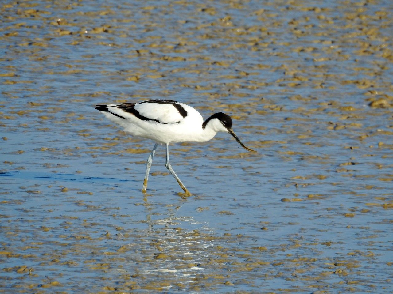 Climate change: over half of England's estuaries under threat