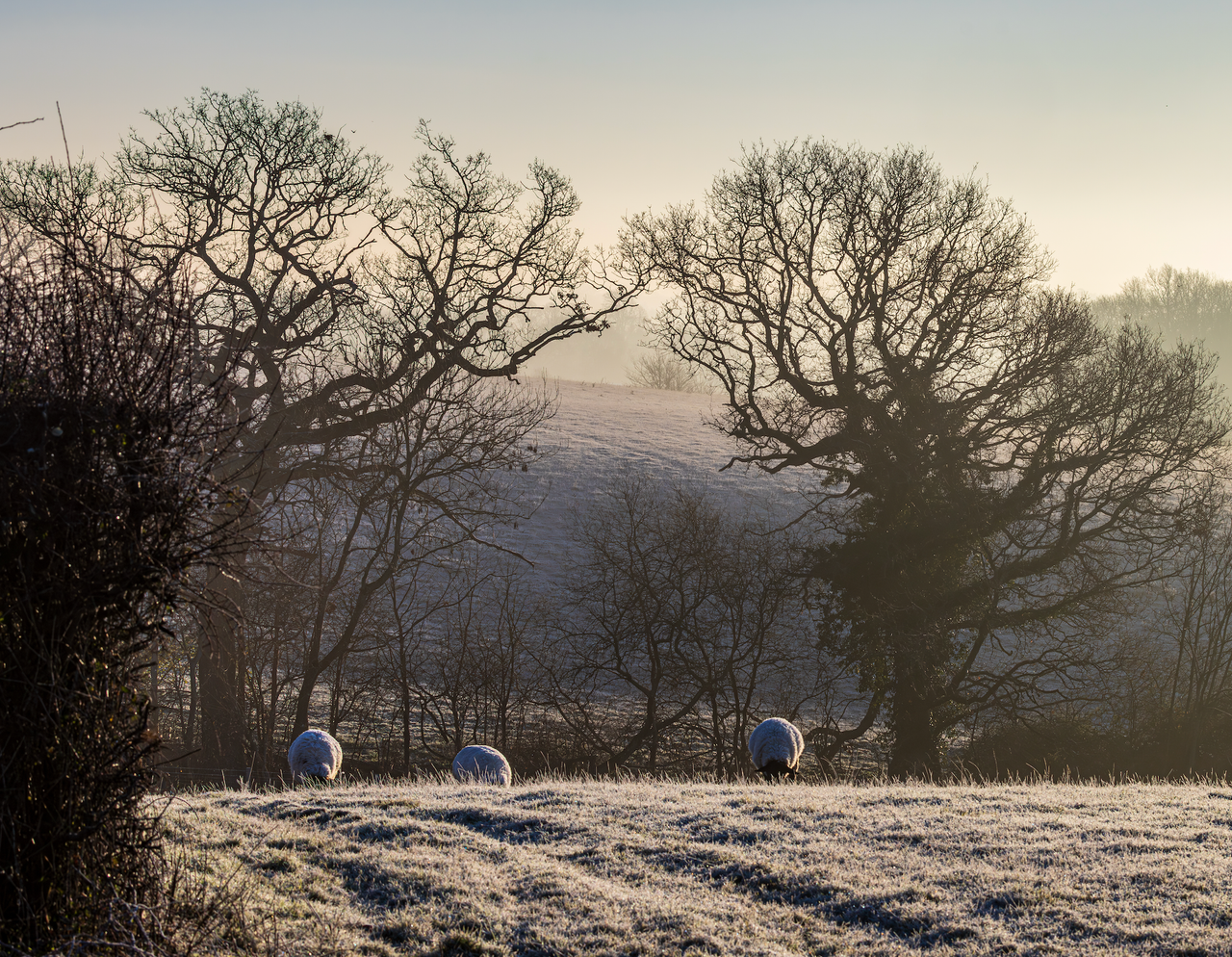 Met Office warns of heavy rain and strong winds as weather turns ...