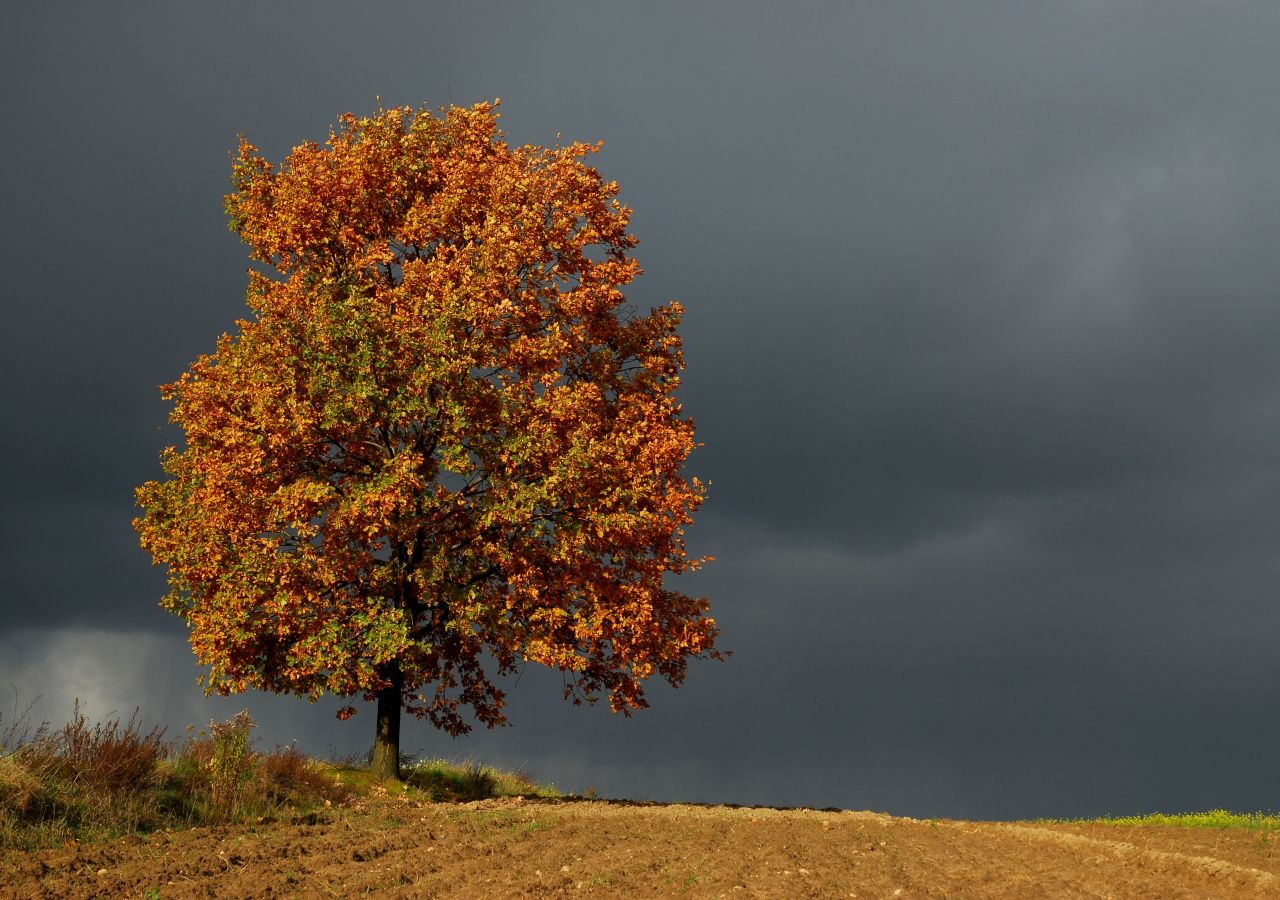 Noticias del tiempo - Meteored