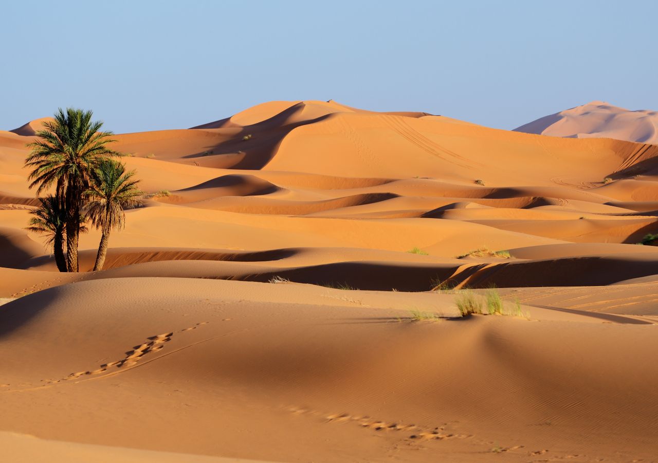 Something strange could happen very soon in the Saharan climate ...