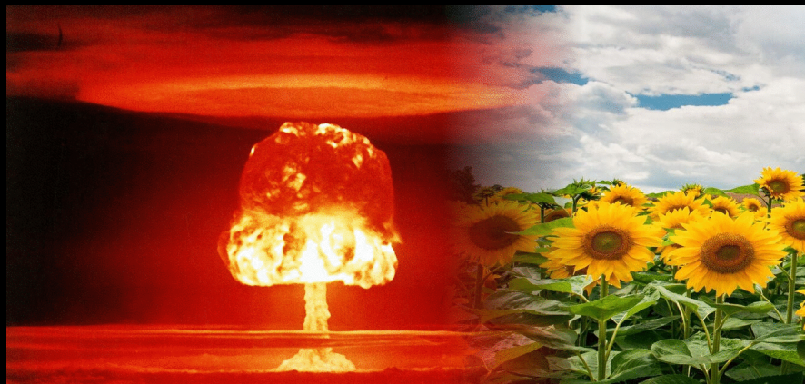 ¿Cómo afectaría un invierno nuclear a la producción de alimentos?