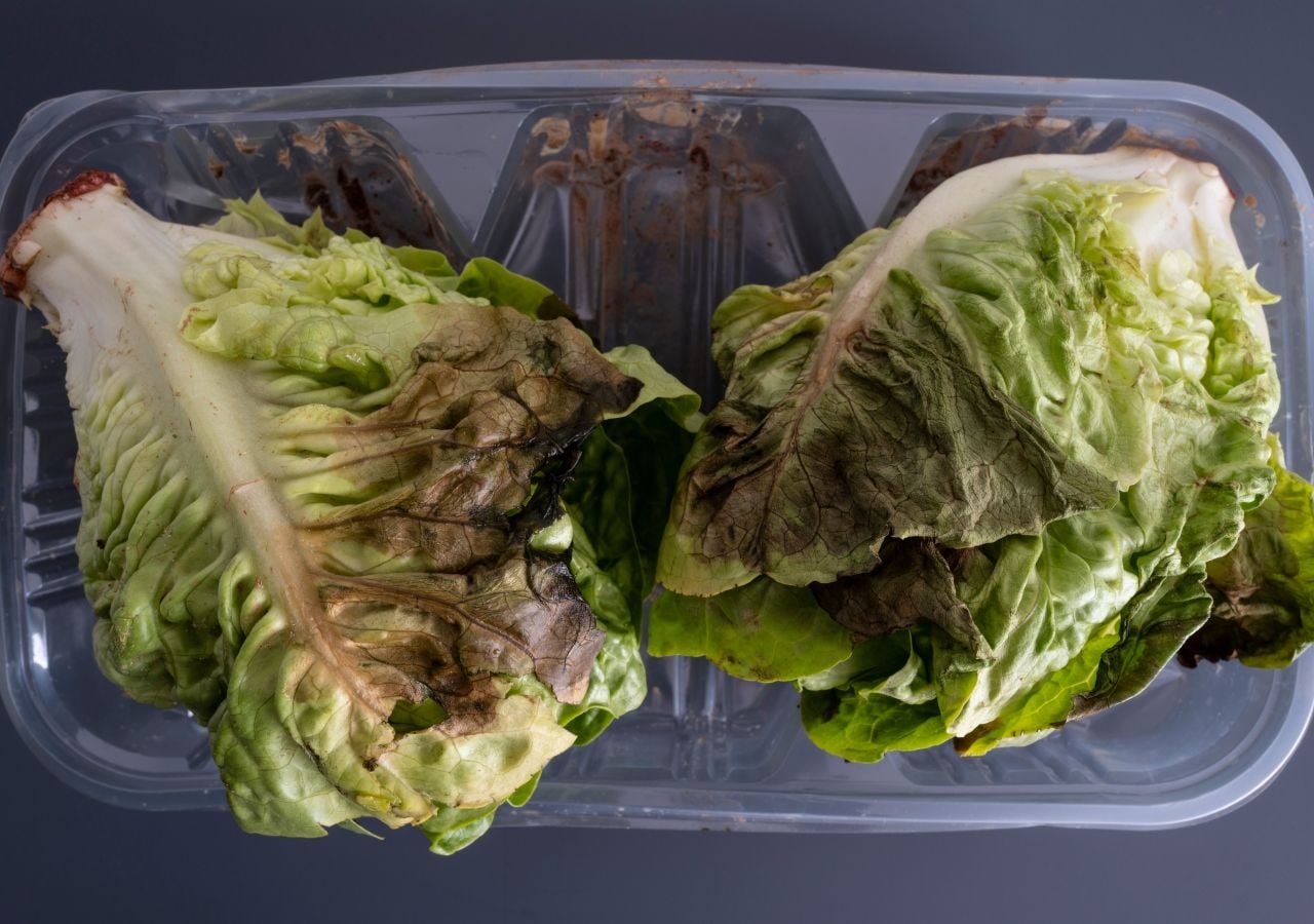 Cómo evitar que la lechuga se estropee tan rápido: esto es lo que dice ...