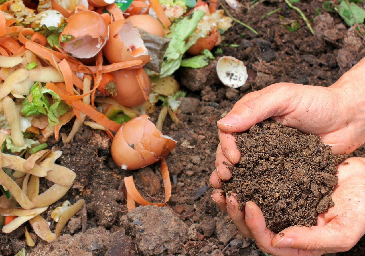 Come fare il compost in casa? Il segreto per un giardino sano ed ecologico