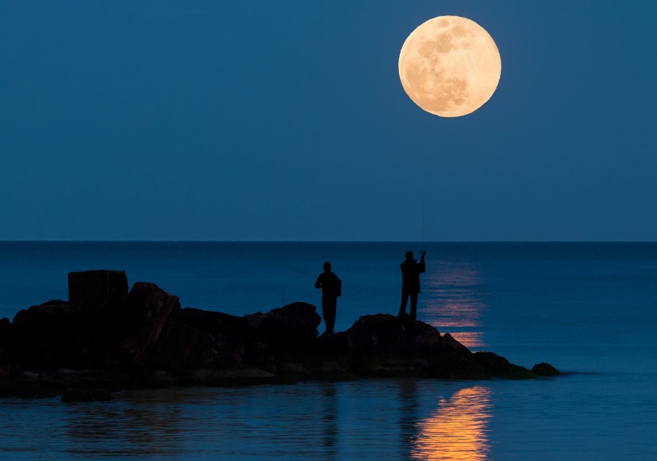 Cómo influye la Luna en las mareas: la explicación del astrofísico Zeus ...
