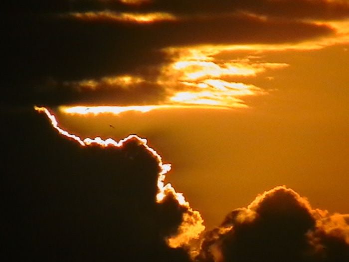 Concurso fotográfico de marzo 2006 de Meteored