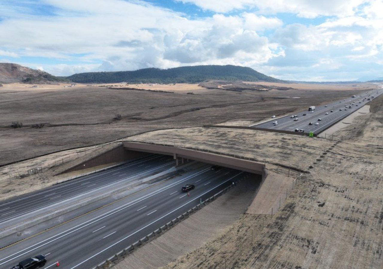Connecting Habitats: North America’s Largest Wildlife Bridge Debuts in ...