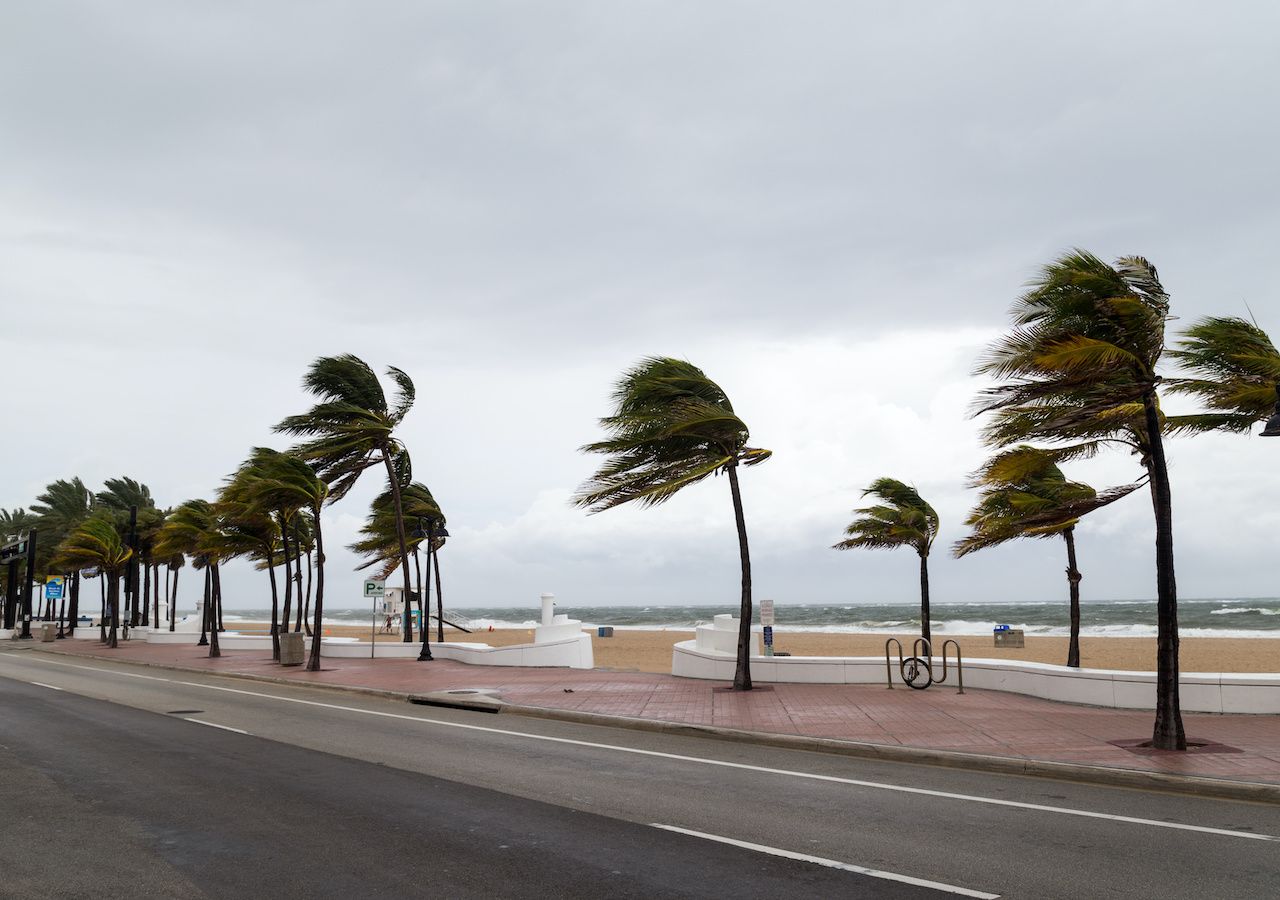 ¿Cuál es la diferencia entre un norte y una surada? Así se distinguen estos dos fenómenos ...