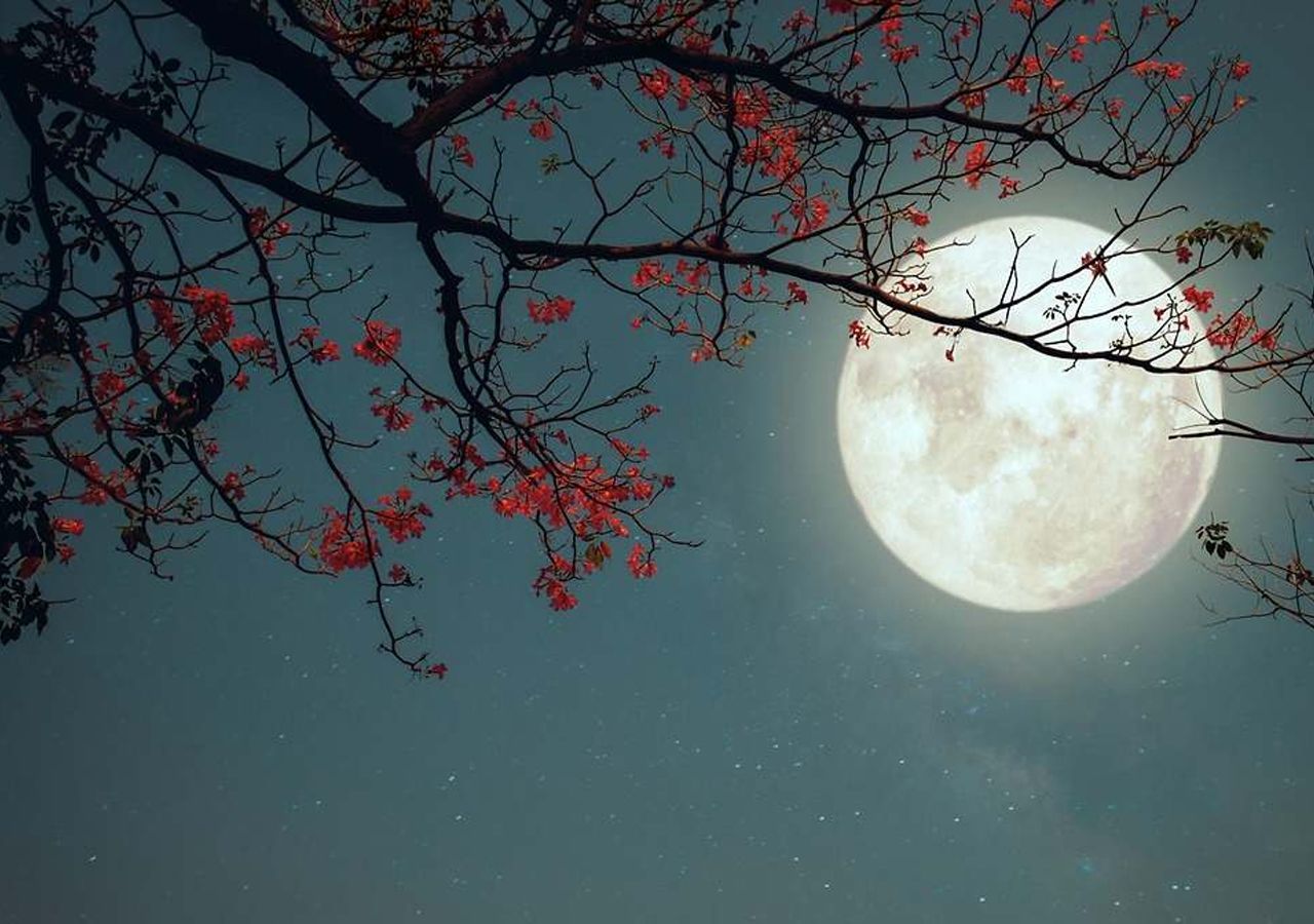 ¿Cuántas y cuáles son las fases de la Luna? Meteored te las explica ¿Cuántas y cuáles son las fases de la Luna? Meteored te las explica