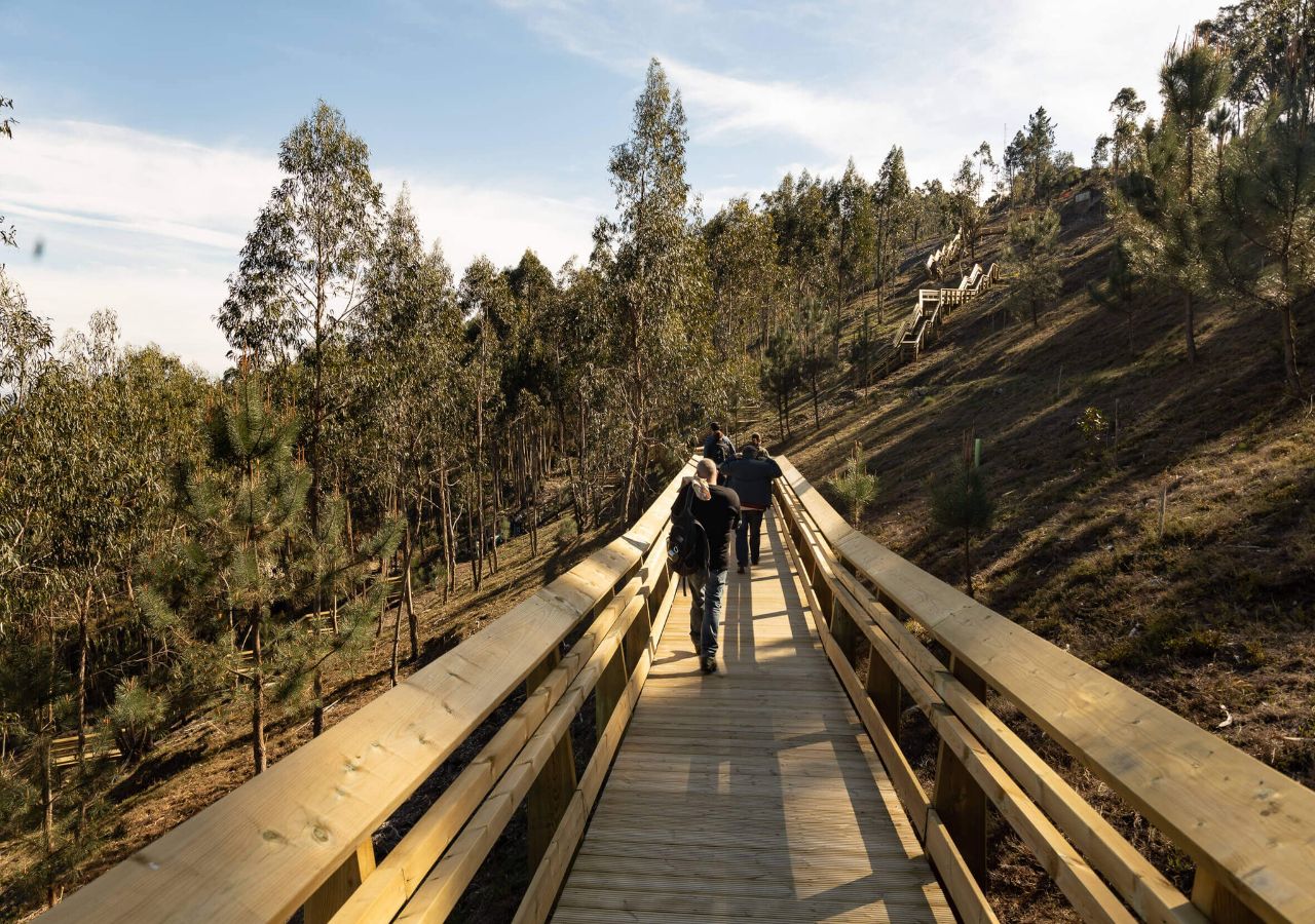 Cuca Macuca: suba os 775 degraus mais famosos (e fotogénicos) de Valongo