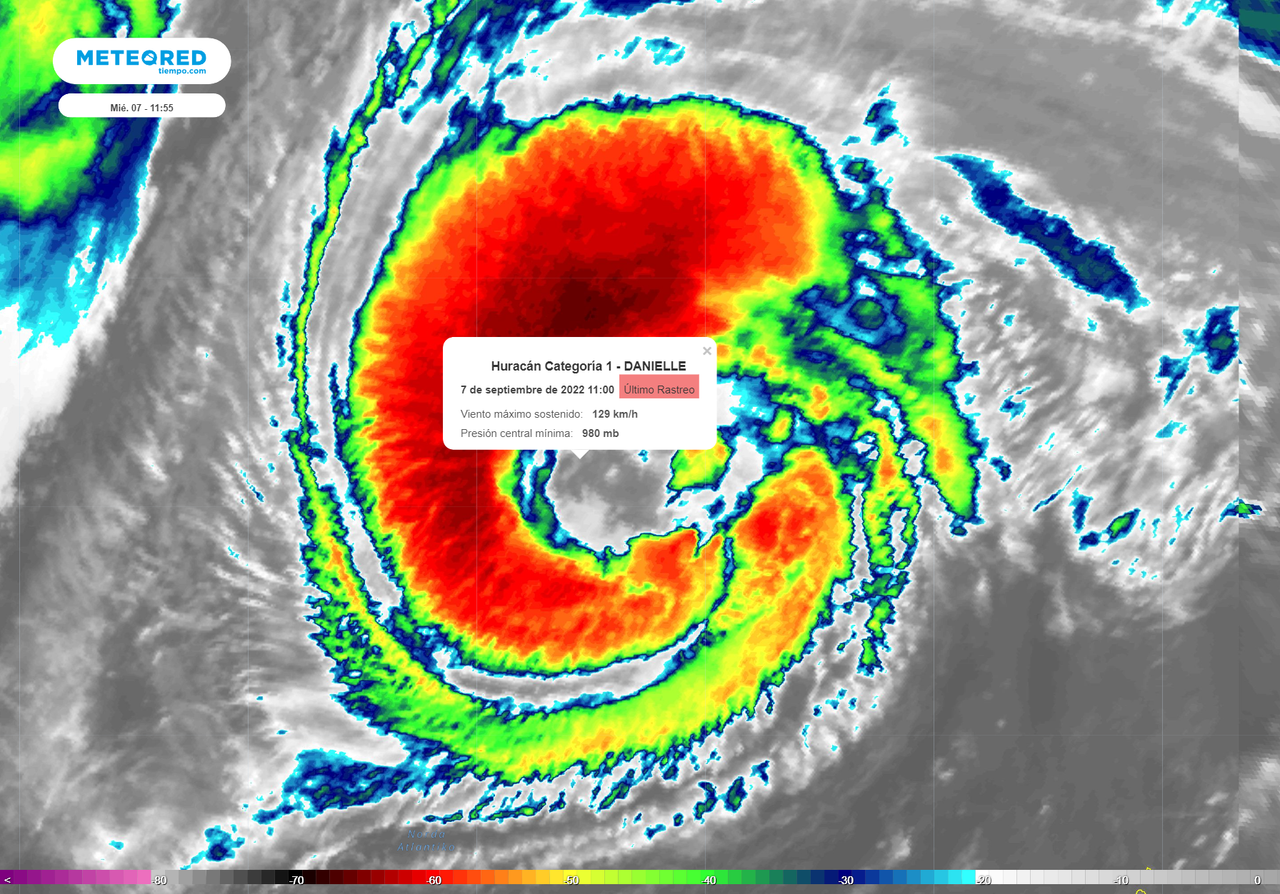 Danielle consigue un hito histórico y apunta a España. Expertos al habla
